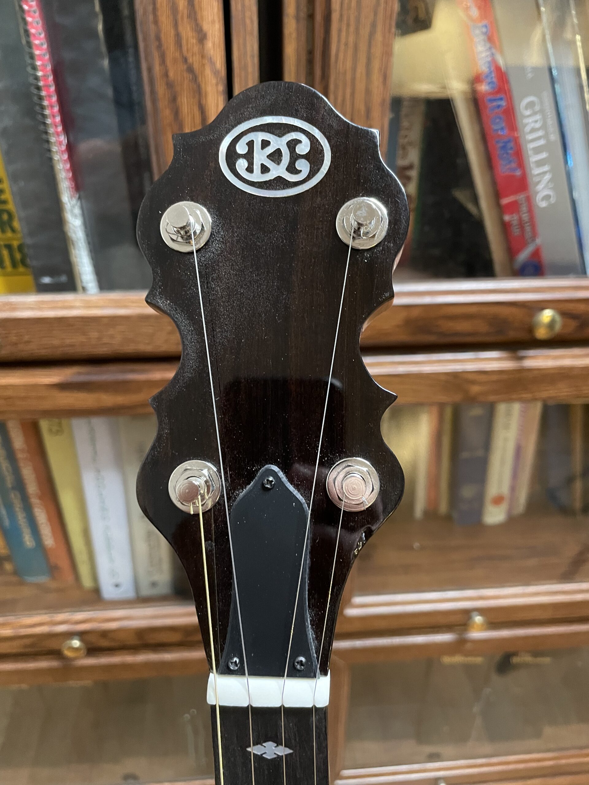 5 String Resonator Back Banjo