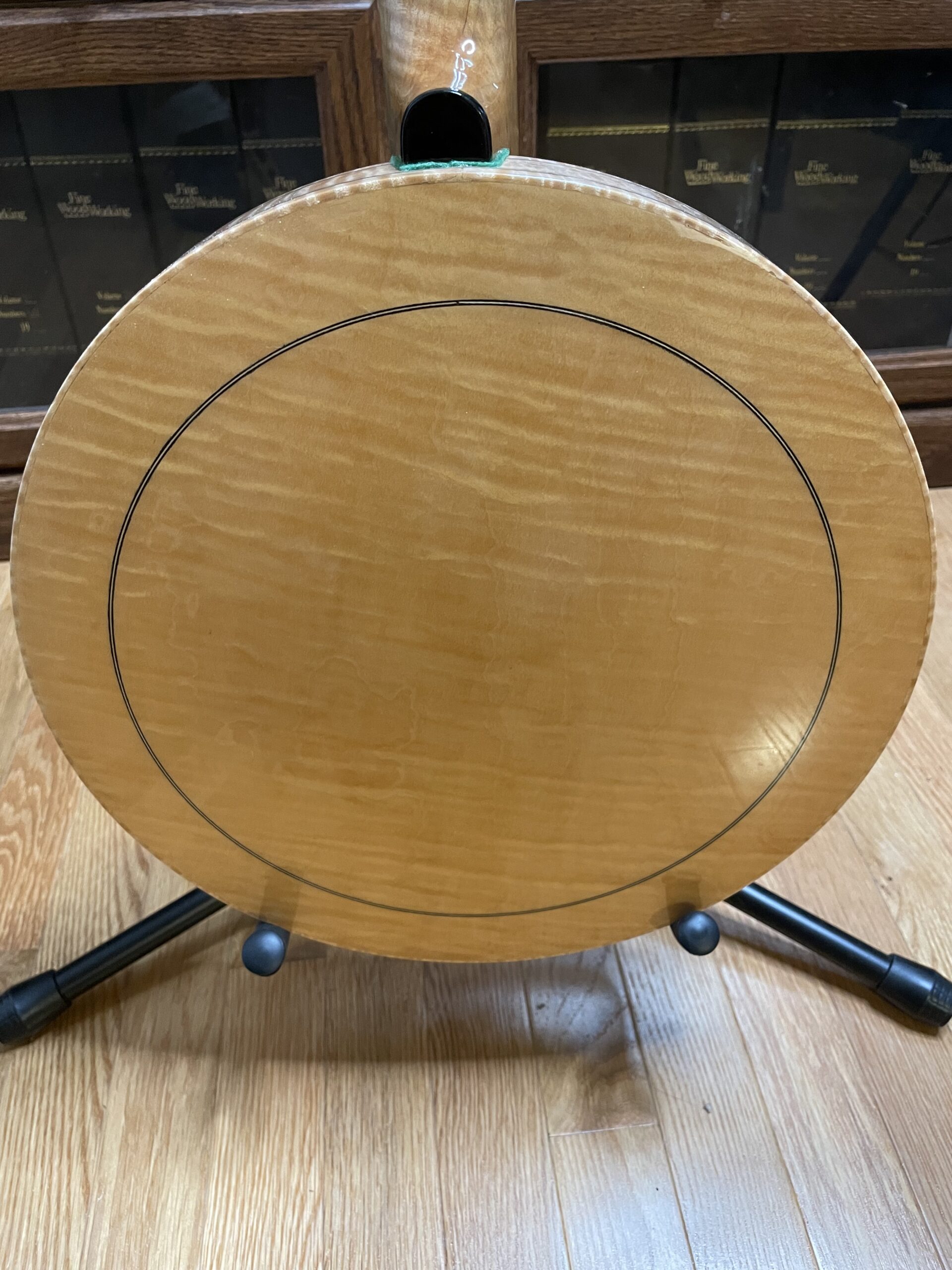 5 String Resonator Back Banjo