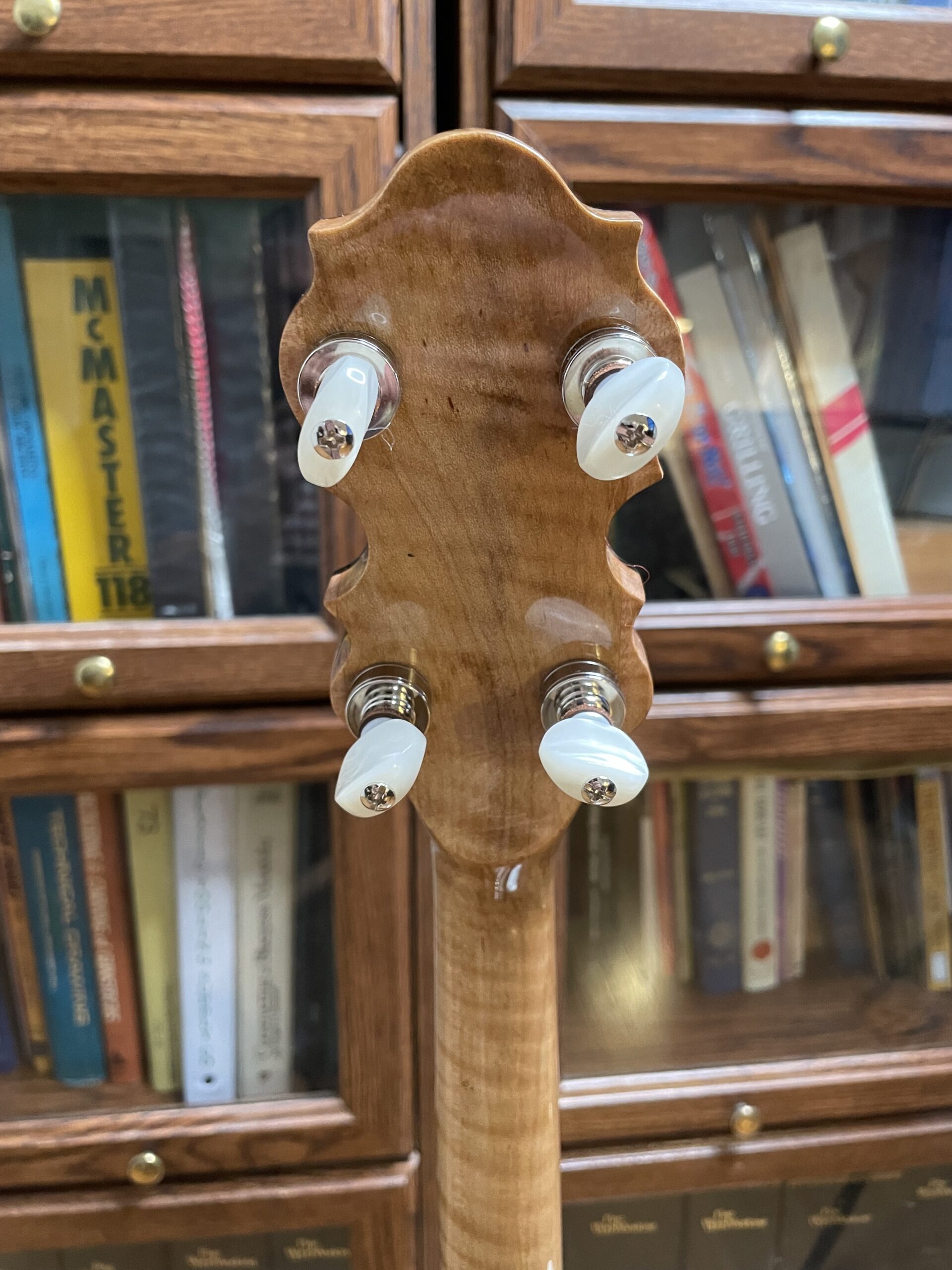 5 String Resonator Back Banjo