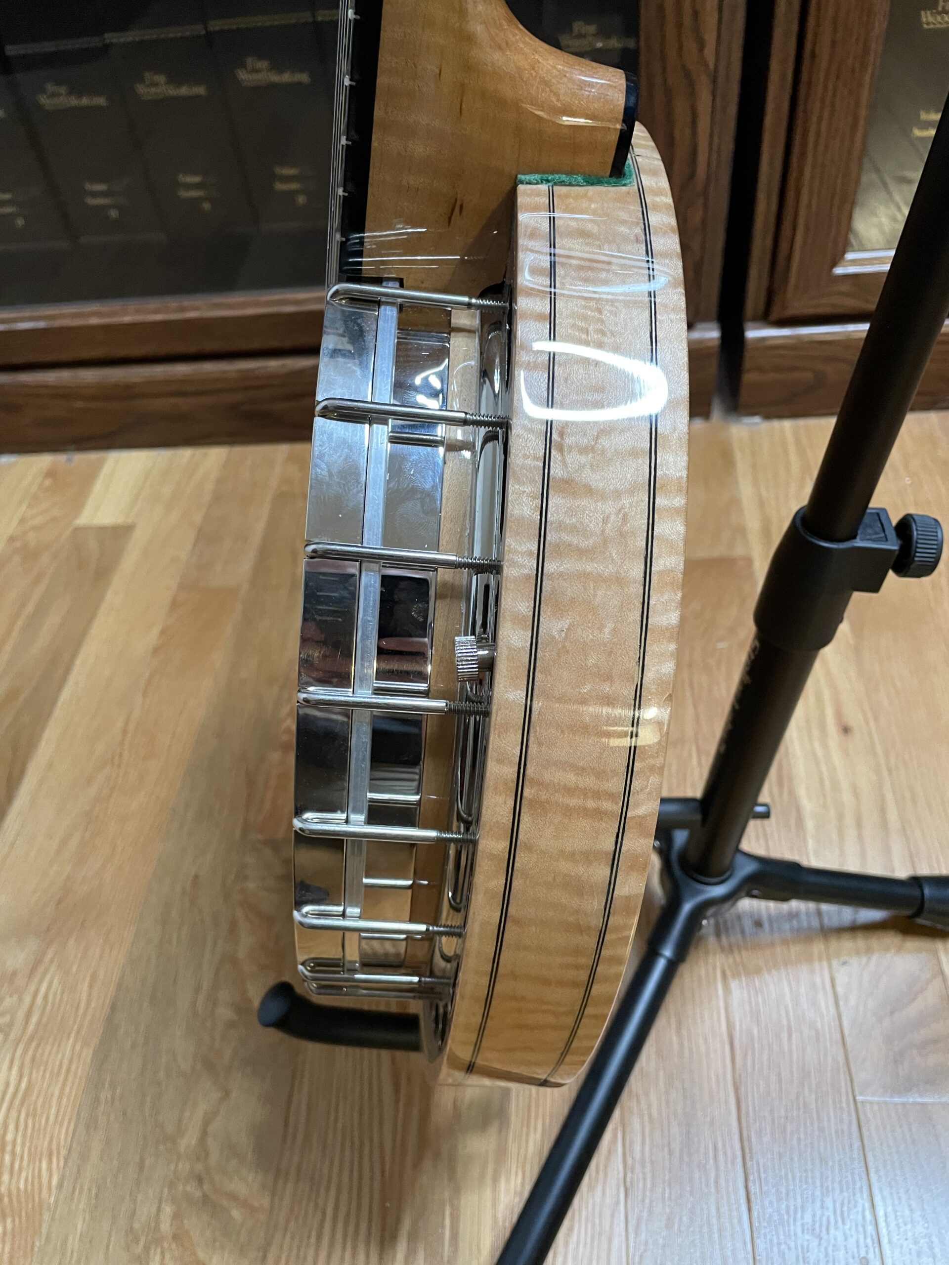 5 String Resonator Back Banjo
