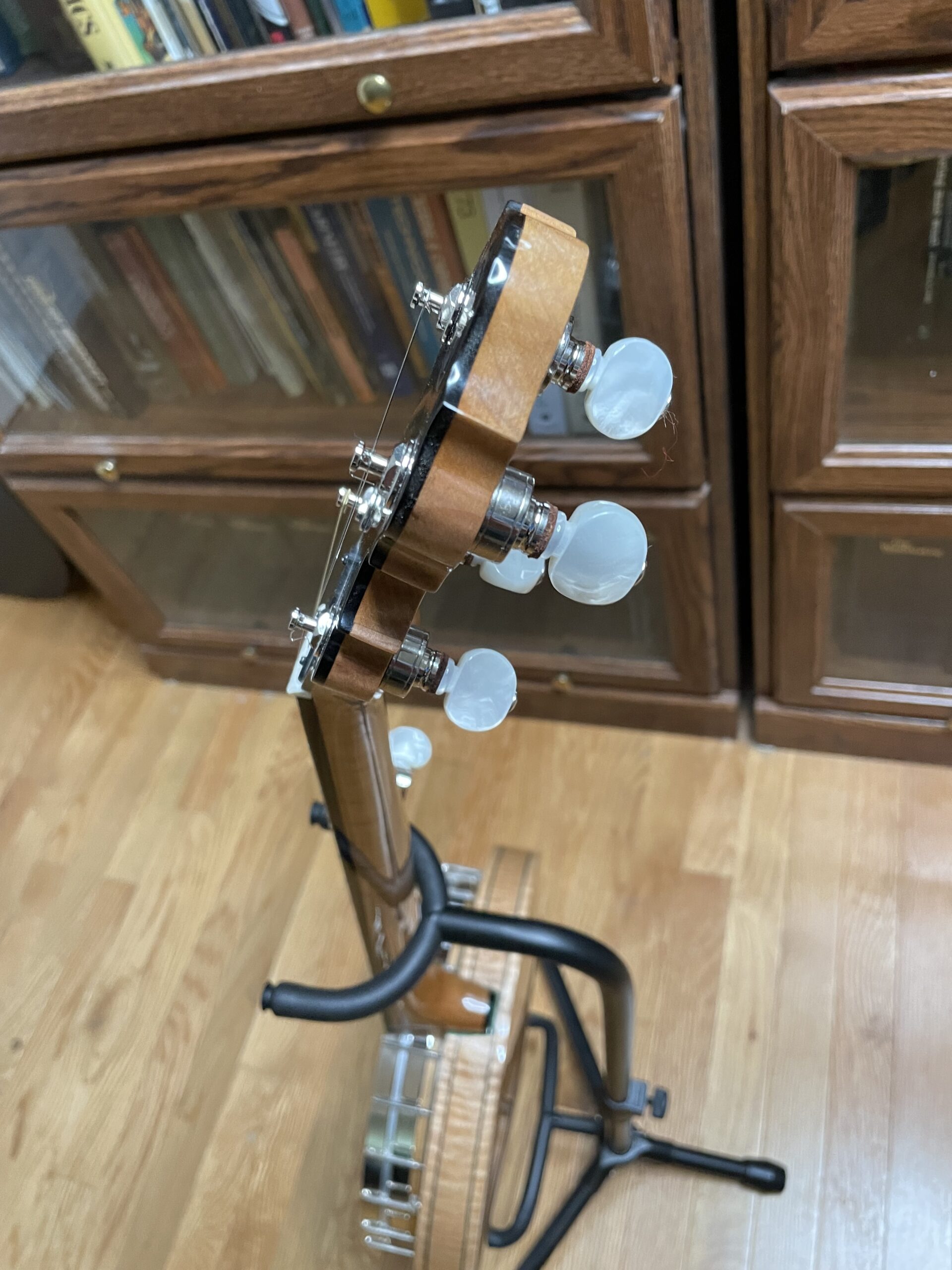 5 String Resonator Back Banjo